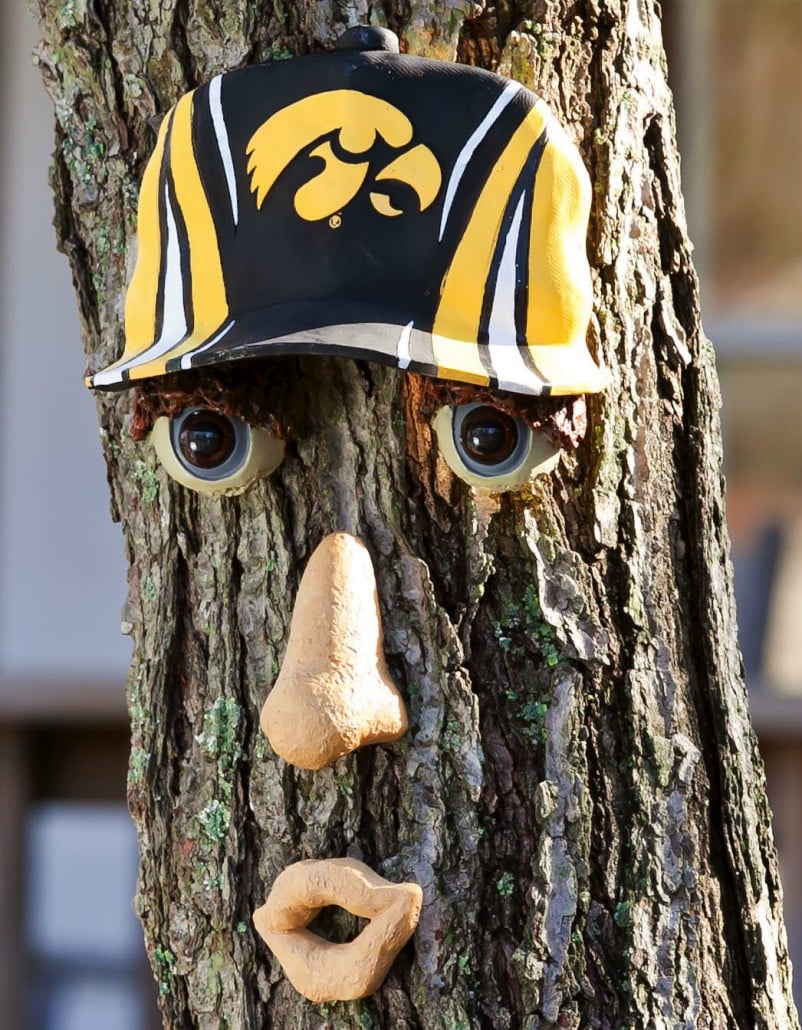 Iowa Hawkeyes Forest Face - Detroit Game Gear